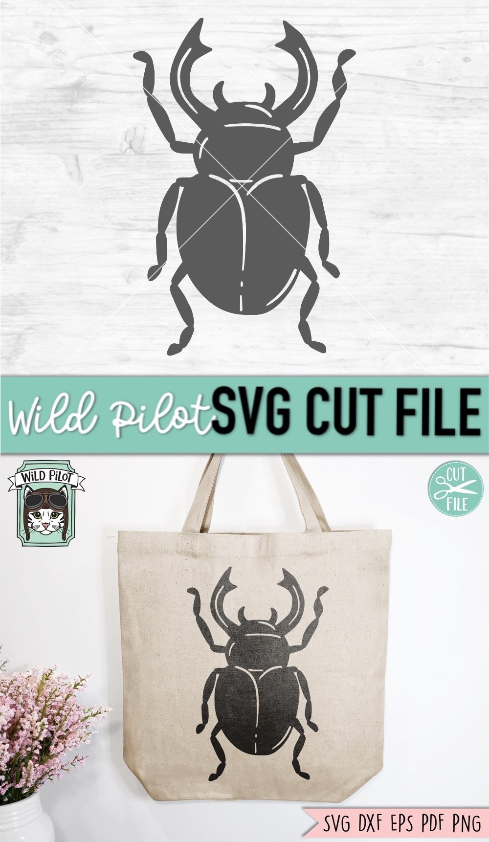 Beetle SVG, Insect SVG, Animal SVG, Bug SVG, Beetle PNG