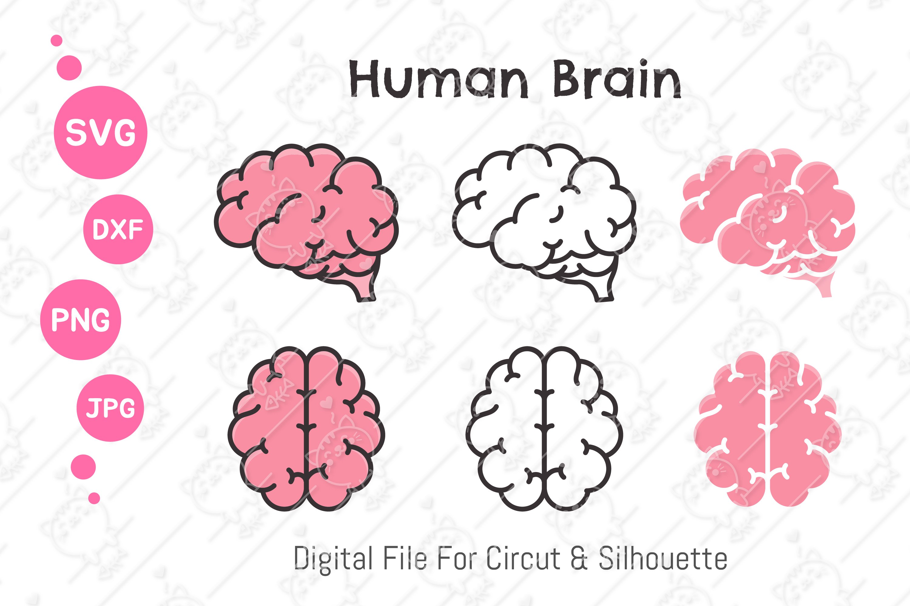 Brain svg | Human brain svg| svg dxf png file