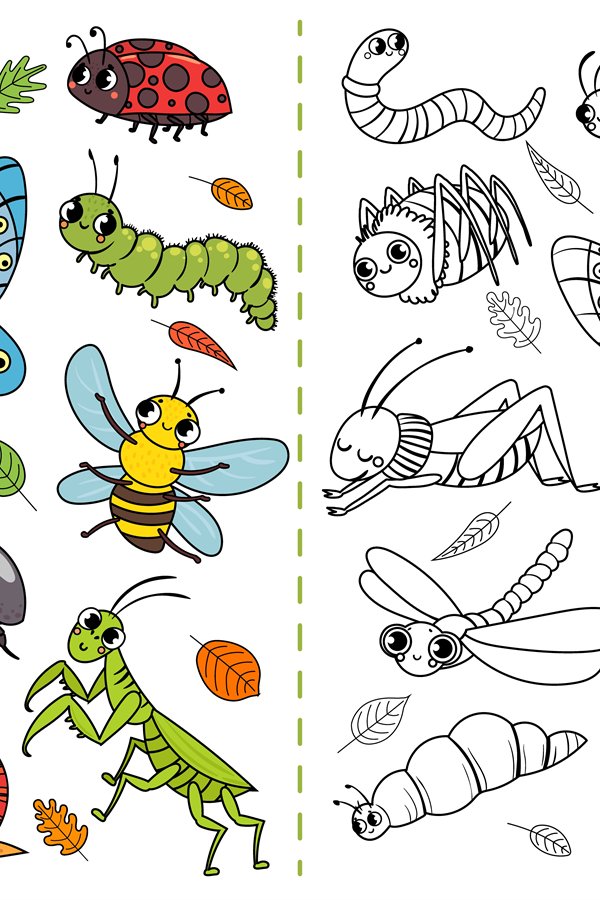 Cartoon insects color painting game. Draw cute insect with k