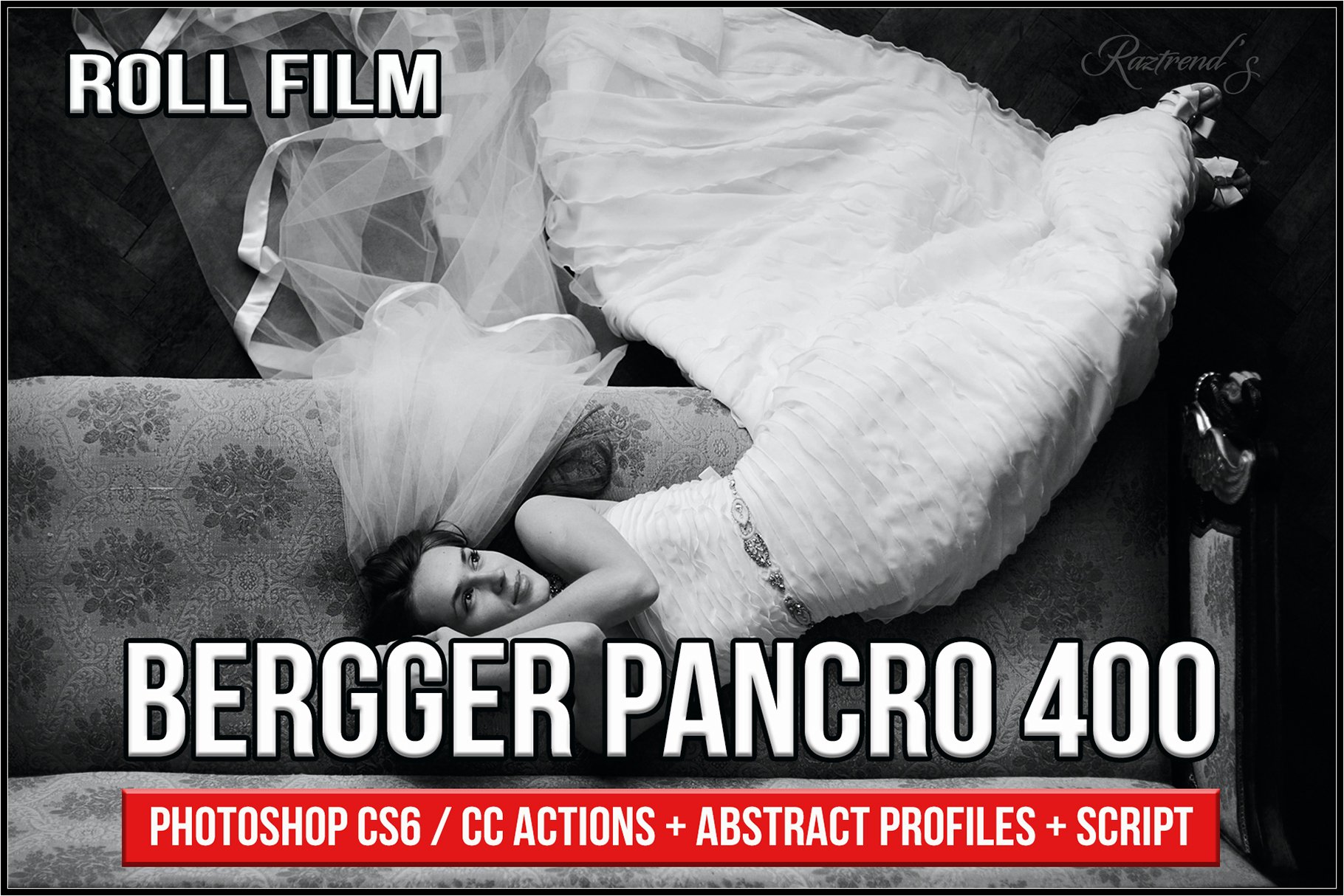 Roll Film - Bergger Pancro 400