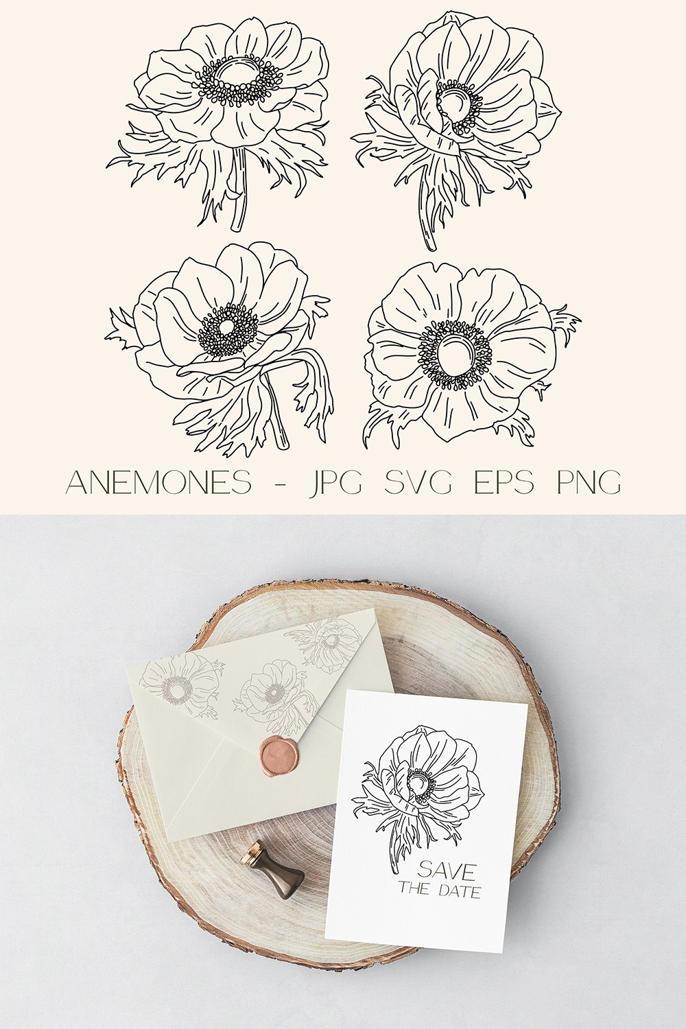 Anemones graphic illustration