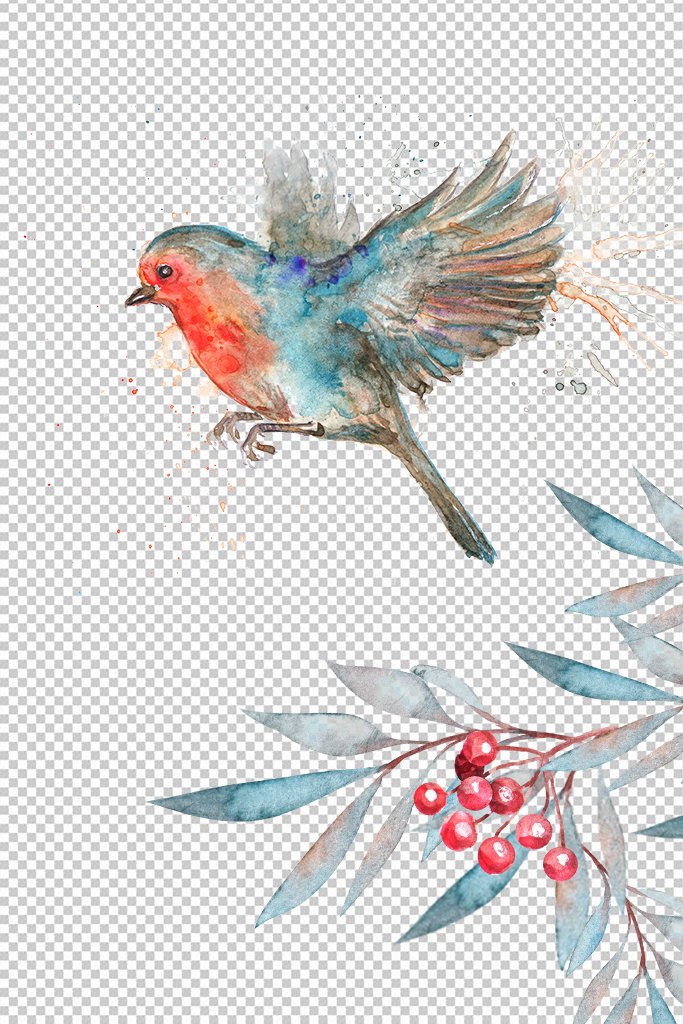 Flying robin, blots, leaves and berries. Watercolor.