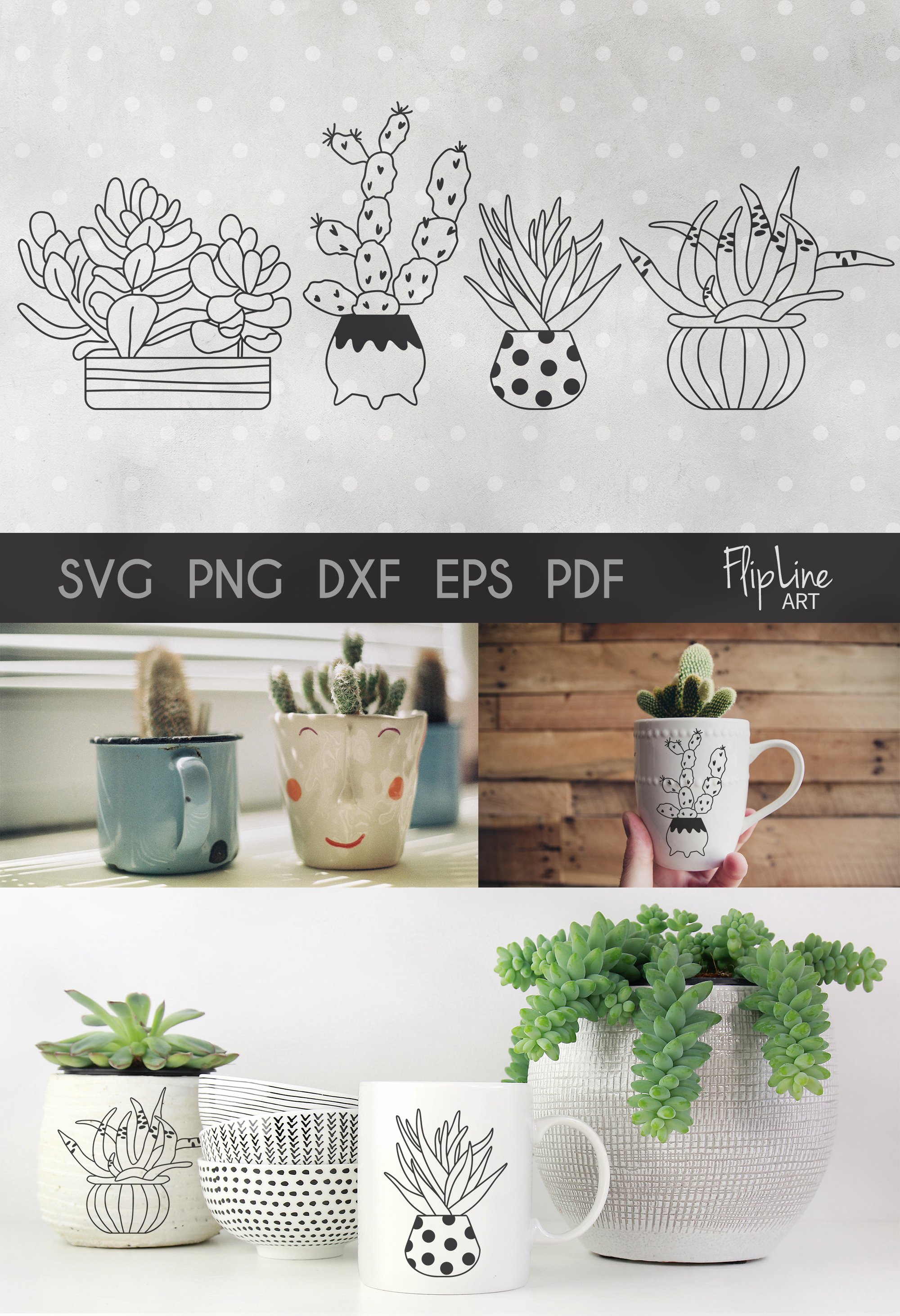Boho Cactus SVG & PNG clipart bundle, Home Plant, Succulent