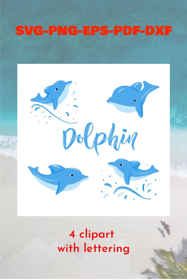 Bundle of 4 dolphin clipart with lettering. SVG, PNG
