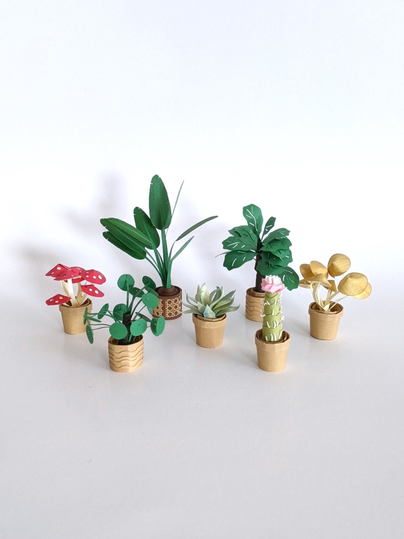3d Papercraft House Plant Bundle