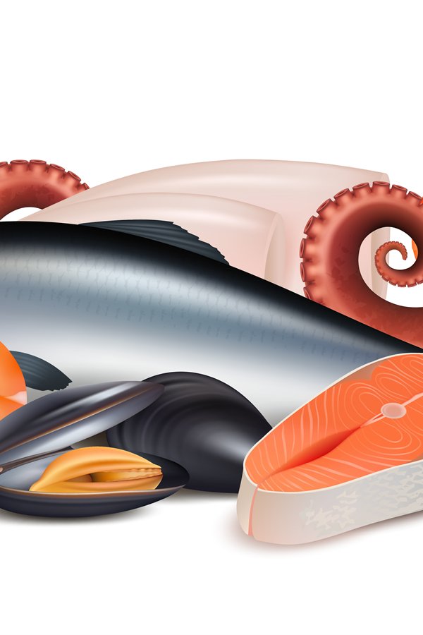Seafood. Composition of different fresh protein food fish oc