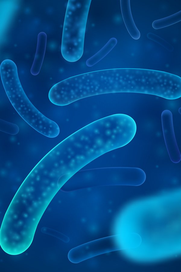 Micro bacterium and therapeutic bacteria organisms. Microsco