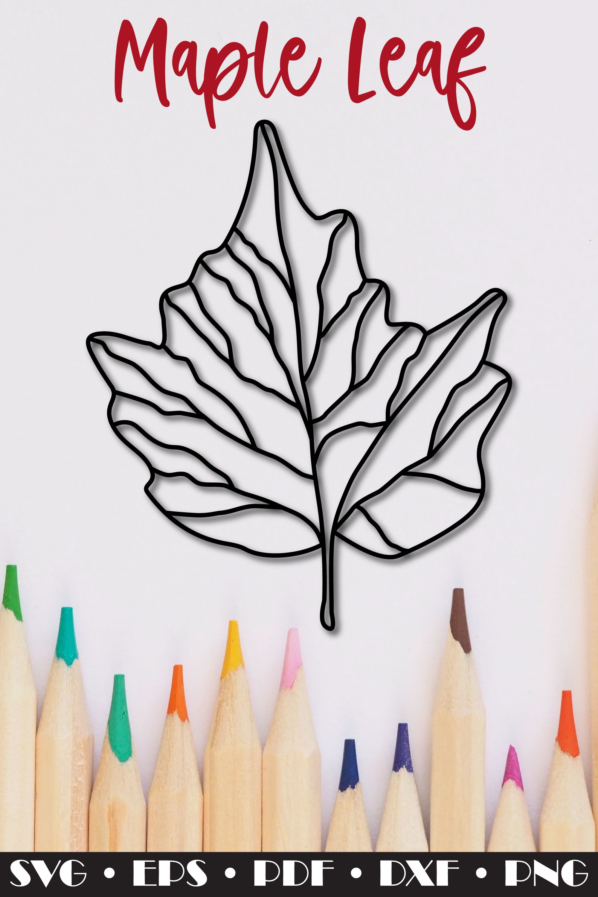 Maple leaf SVG (886766)