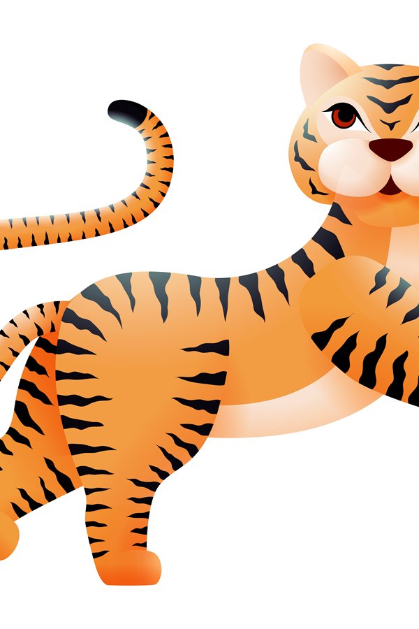 Cute tiger. Wild big cat cartoon character