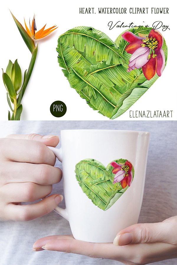 Heart, flower watercolor clipart. Valentines Day (1785014)