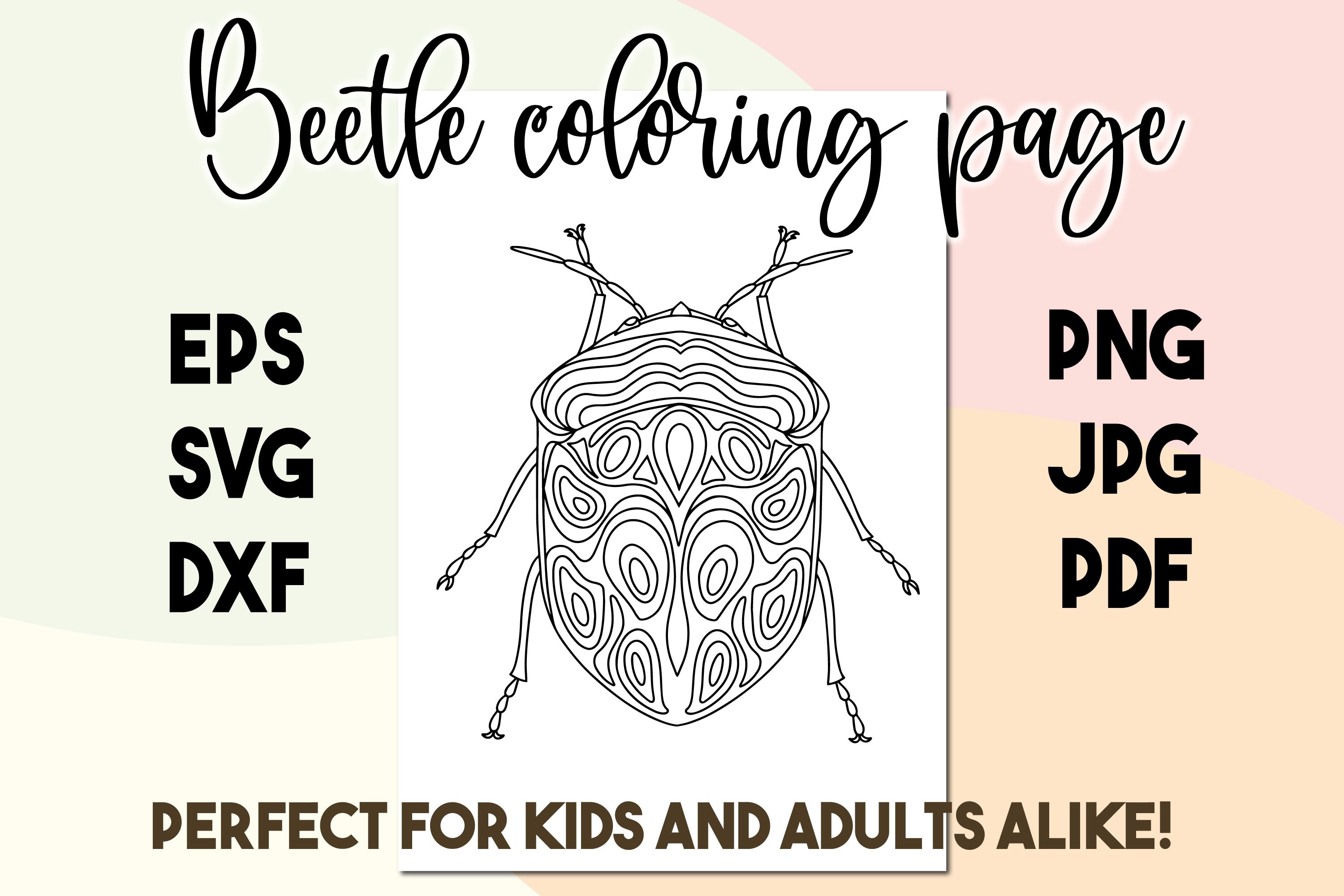 Beetle Insect printable coloring page, Coloring sheet