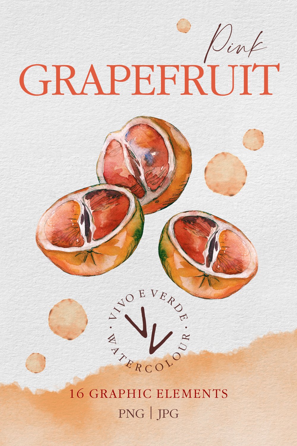 16 grapefruit watercolor designs