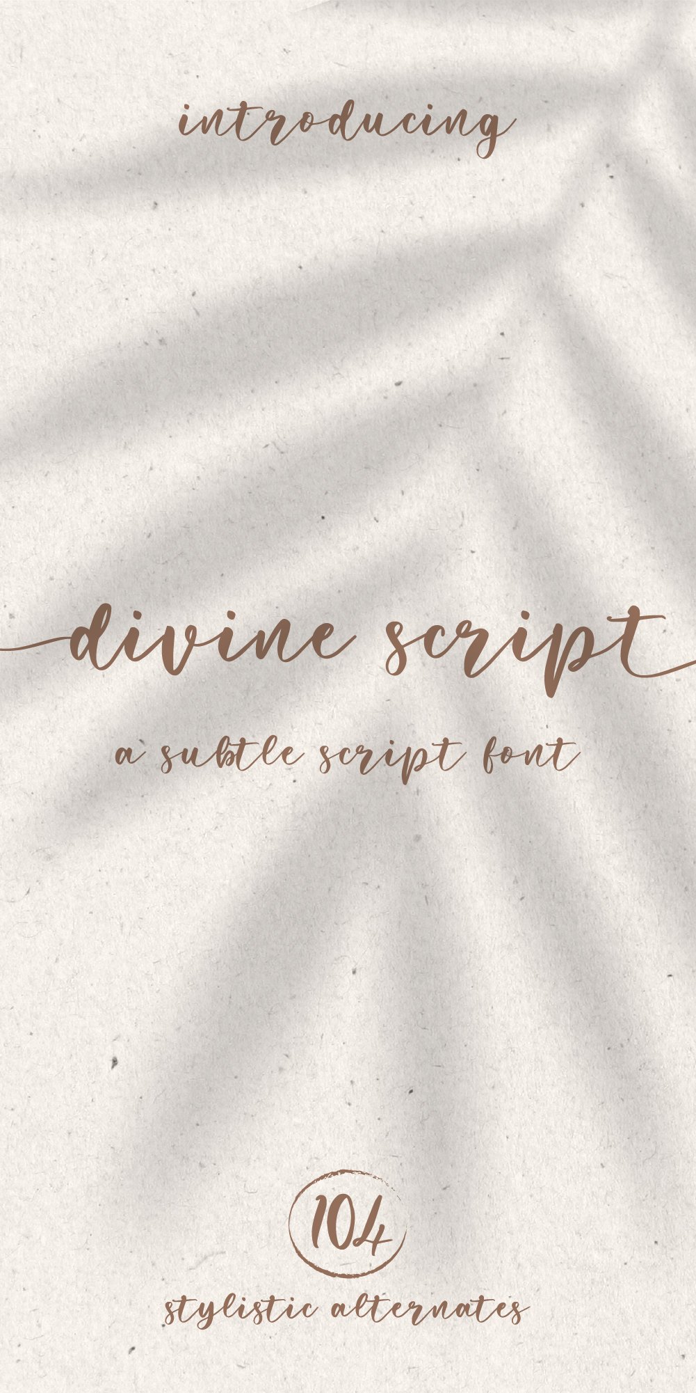 Divine Script A Modern Script Font With Swashes