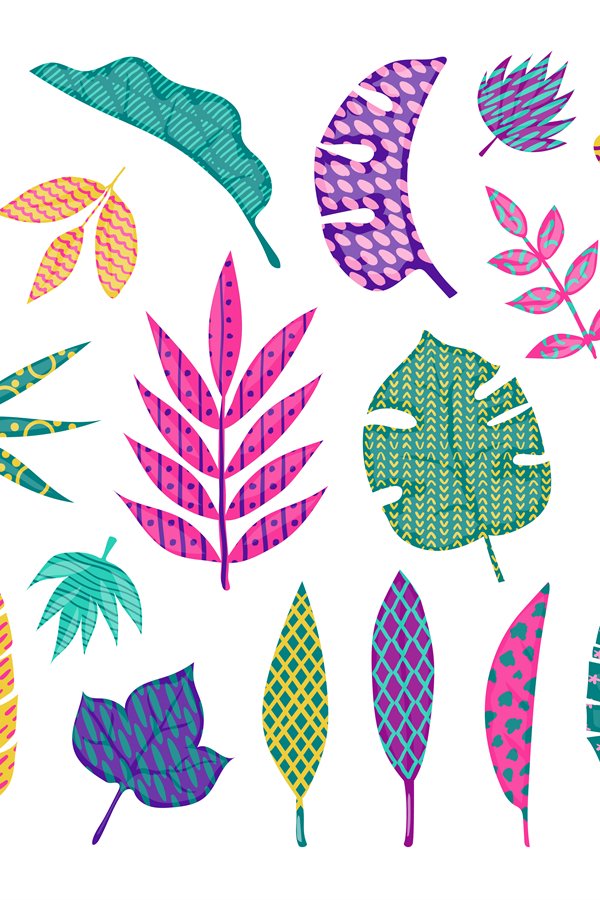 Abstract tropical leaves. Leaf summer tribal elements, trend