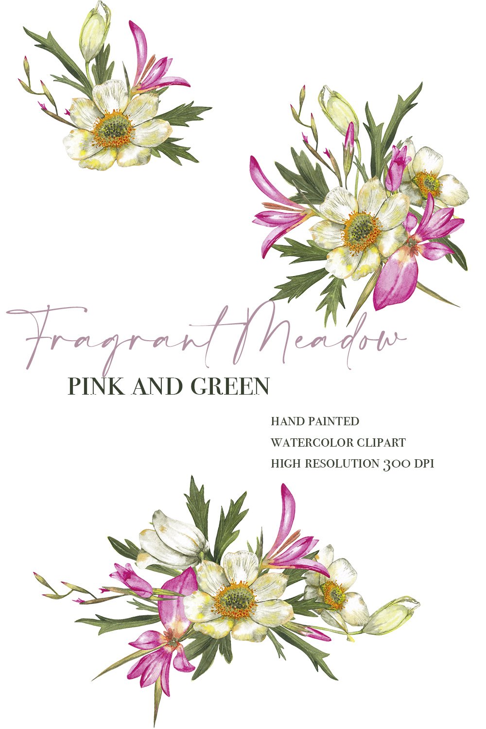 Watercolor white-pink wildflowers bouquet Floral clipart PNG
