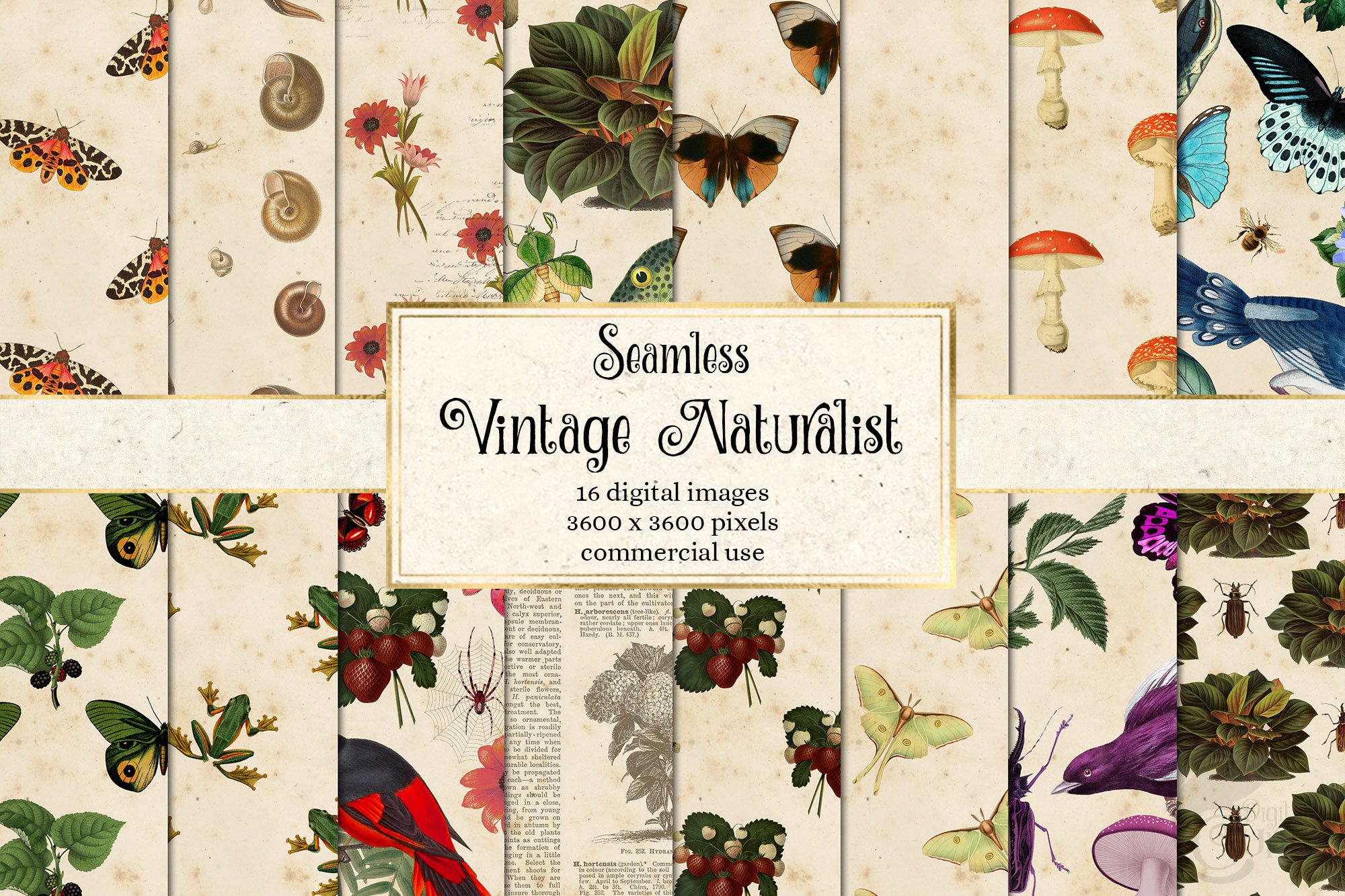 Vintage Naturalist Digital Paper