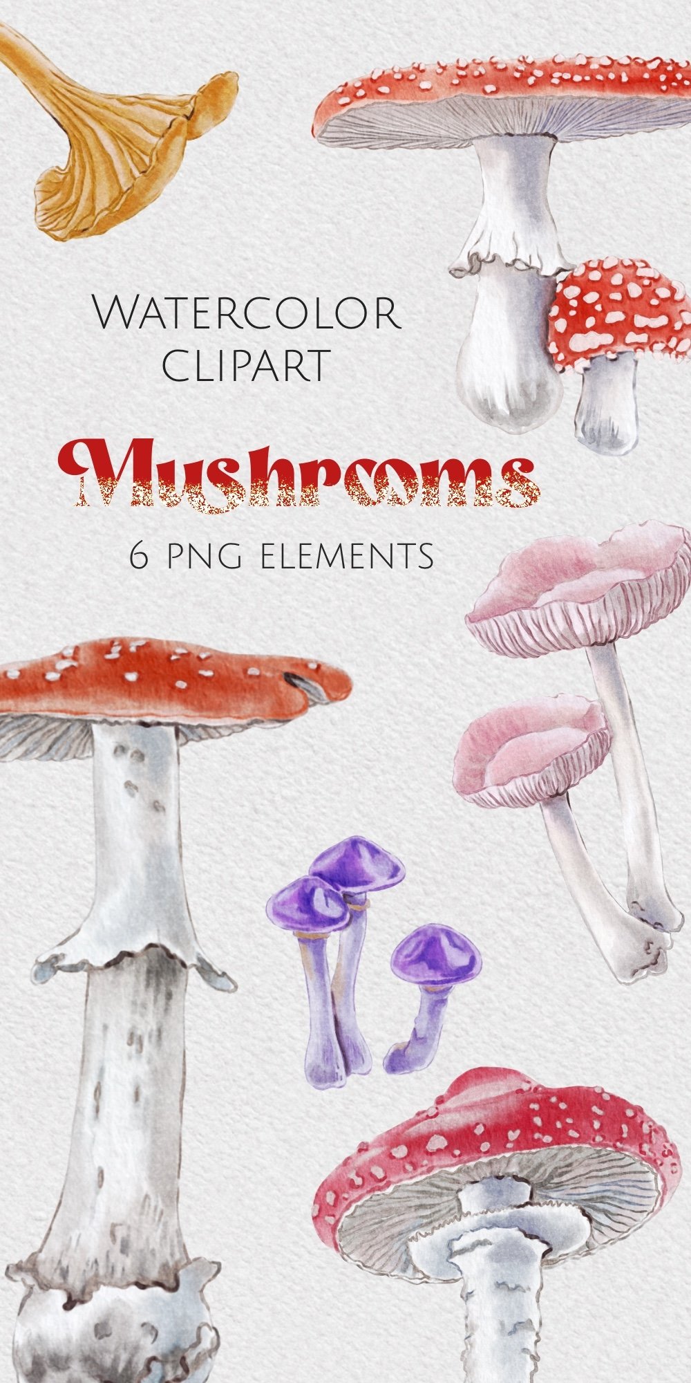 Watercolor Mushrooms clipart (2808795)