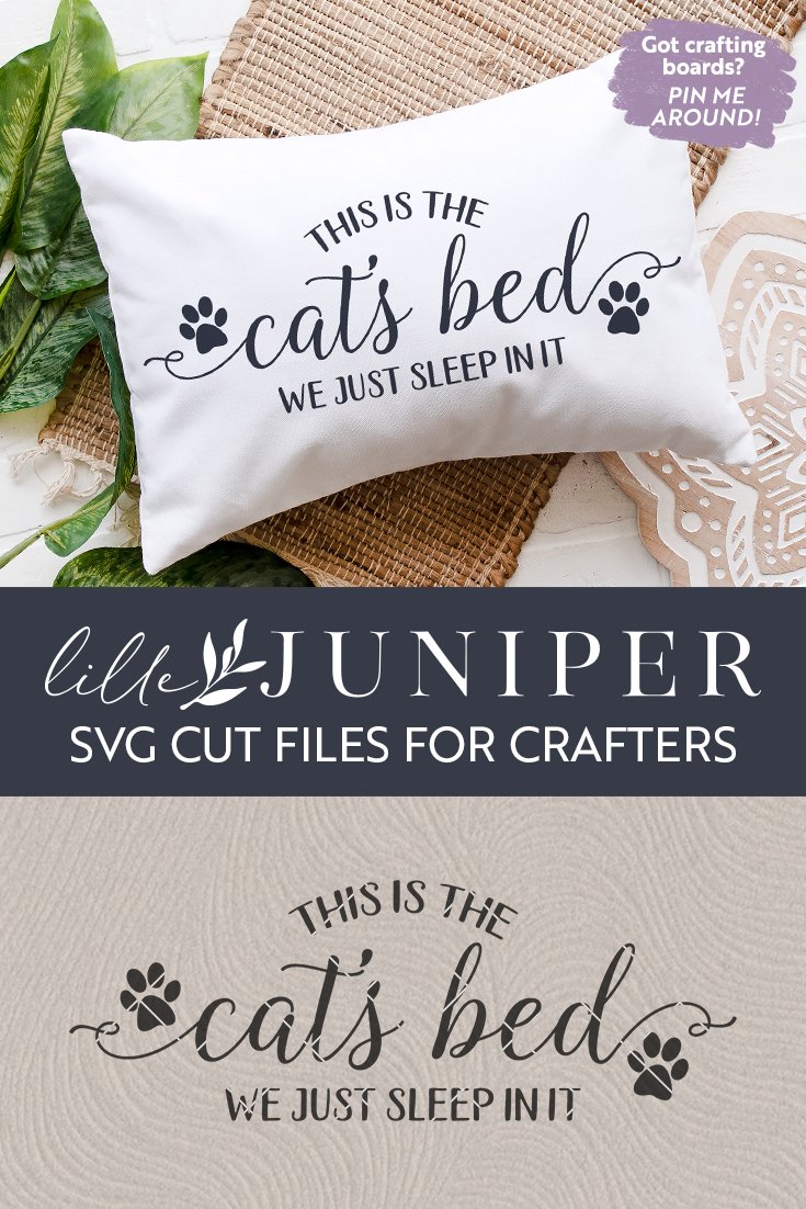 This Is The Cat's Bed SVG, Funny Pillow SVG