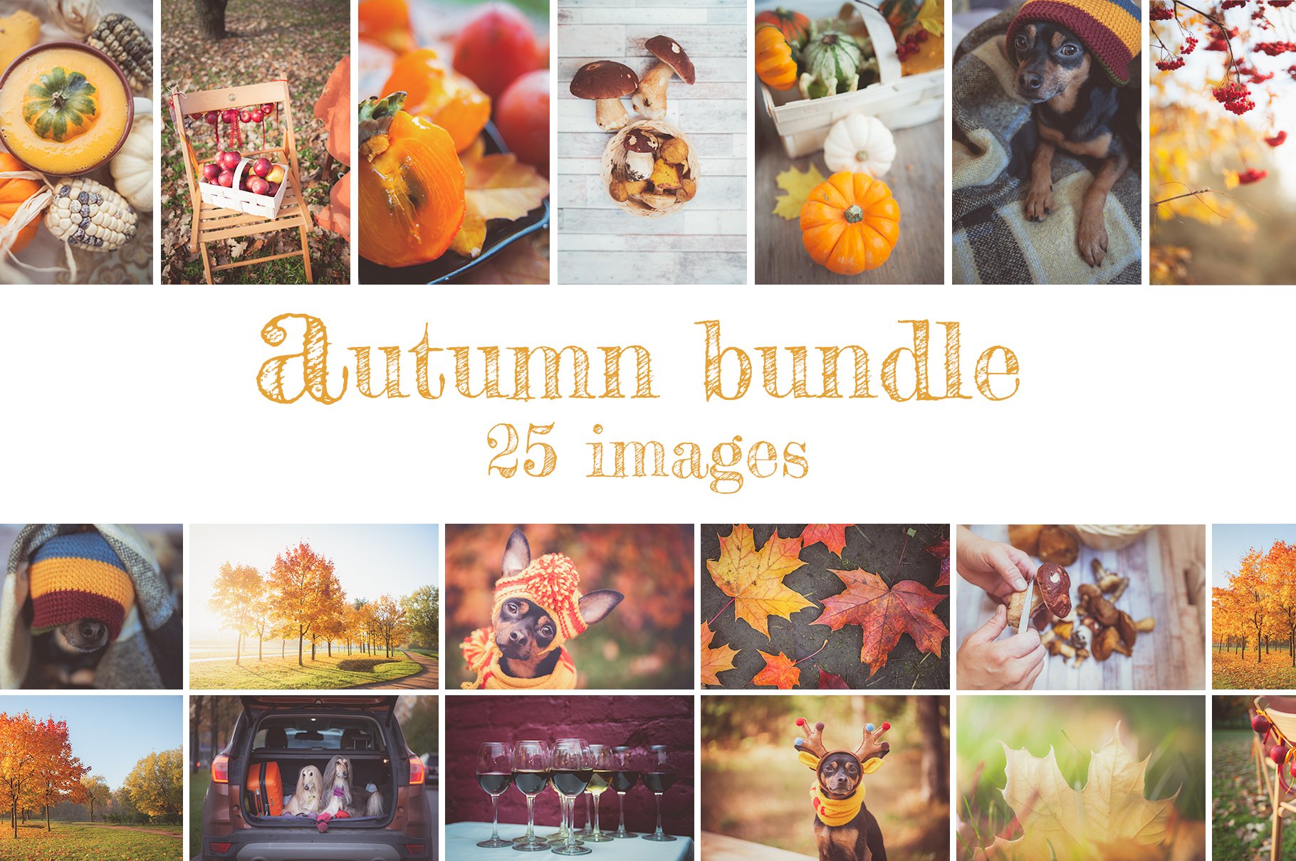 Autumn Bundle 25 Stock photos