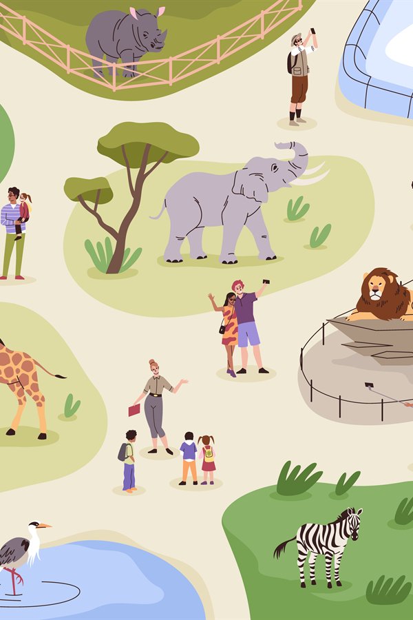 Zoo map. Animals safari park plan. Fenced enclosures with li