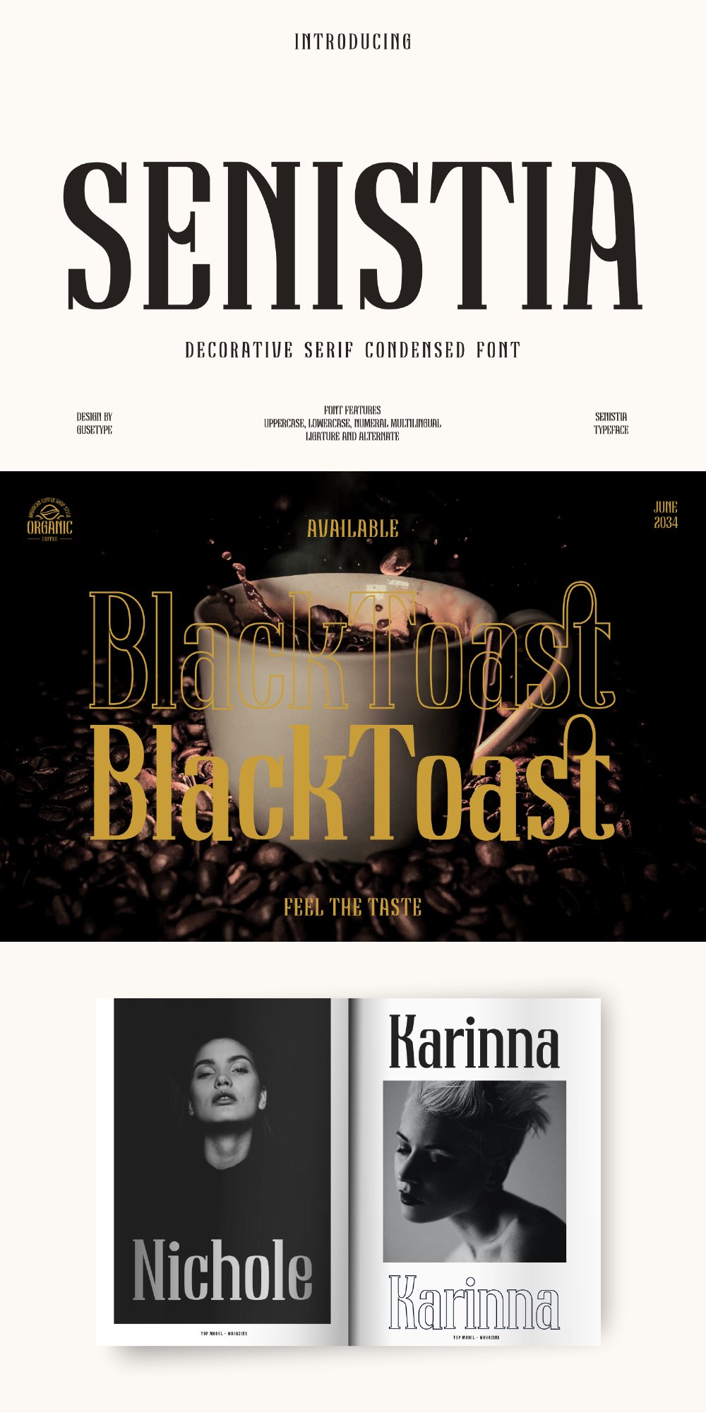 Senistia - Decorative Serif Condensed Font