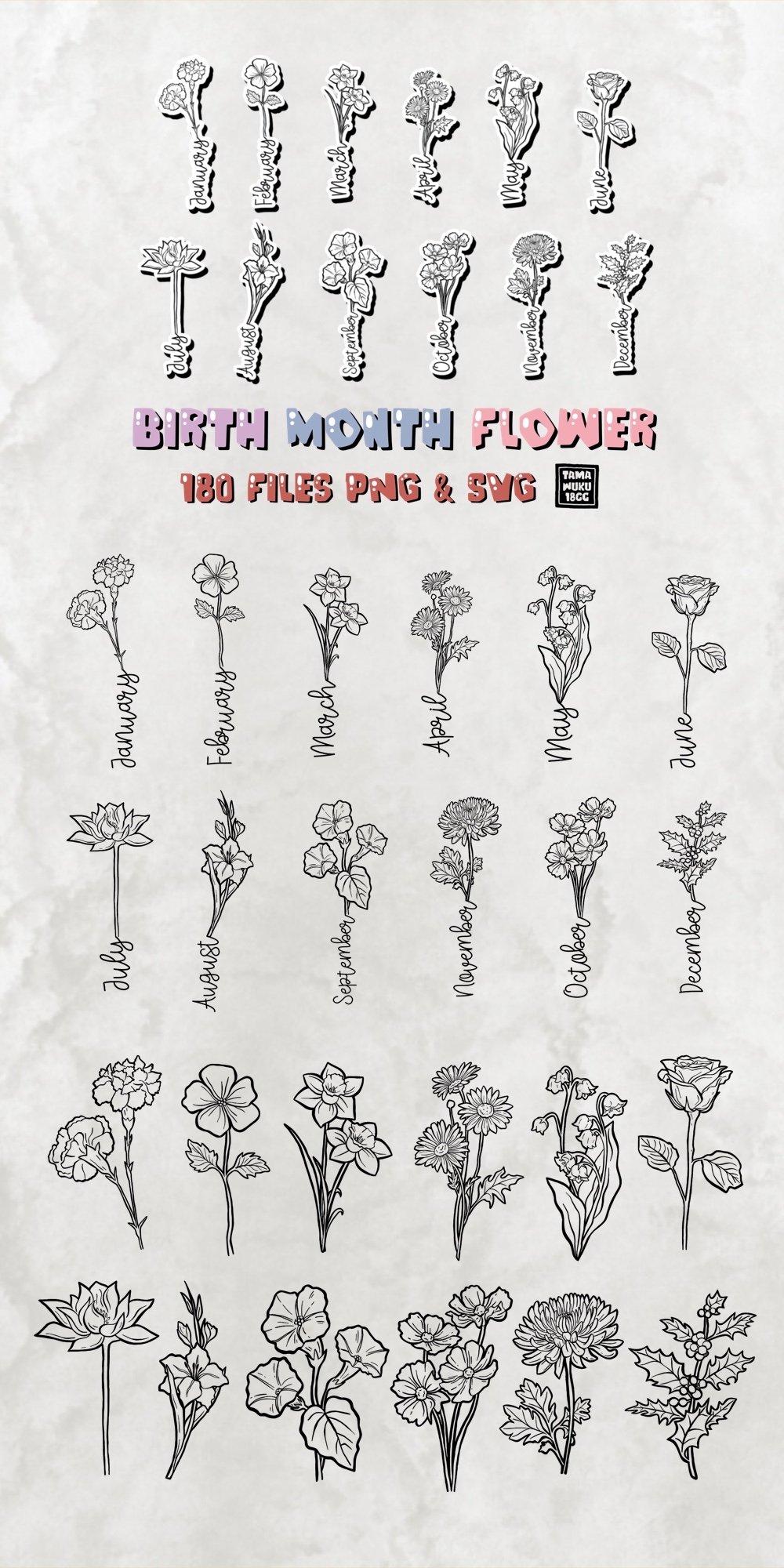 Birth Month Flower PNG SVG