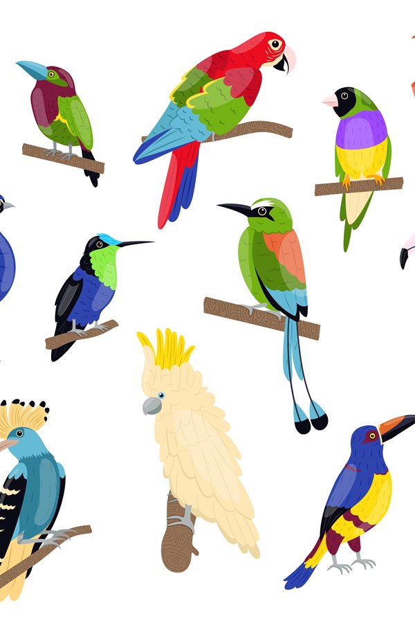 Tropical exotic birds. Bright color parrots, polynesian faun