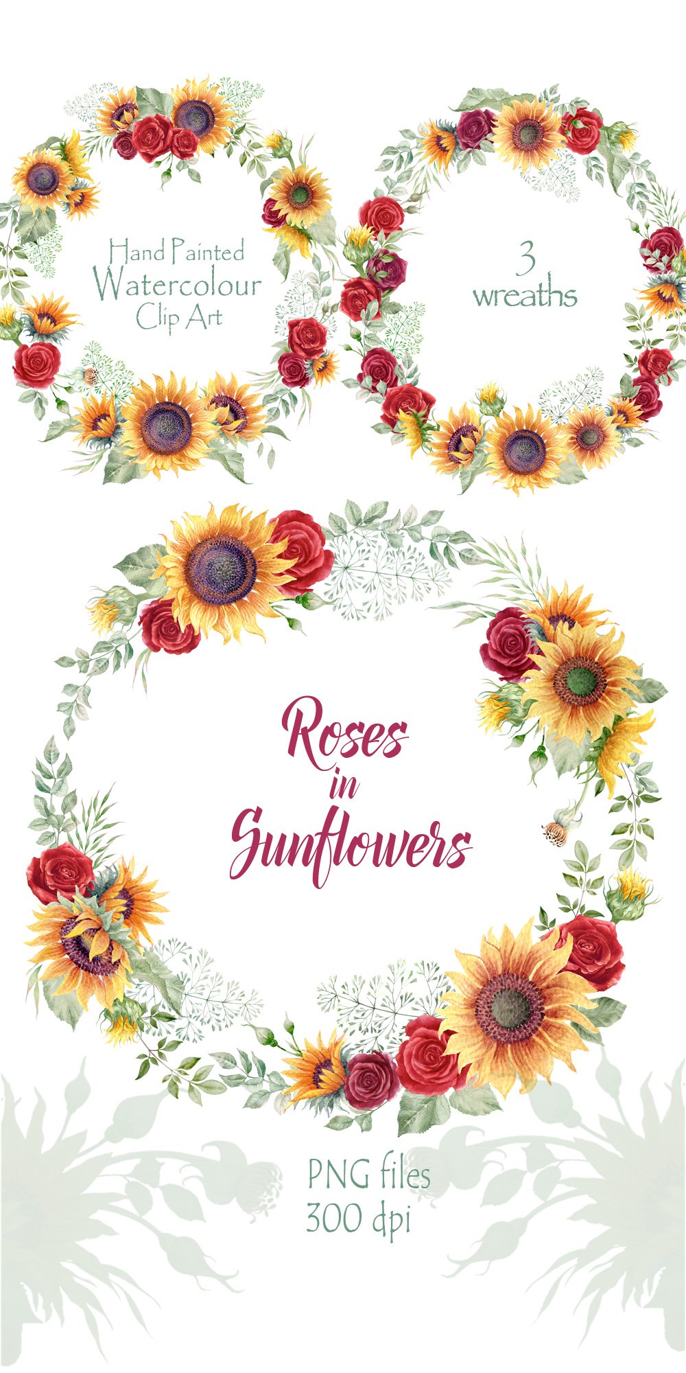 Roses in Sunflowers Watercolor Wreaths, Autumn clipart, PNG