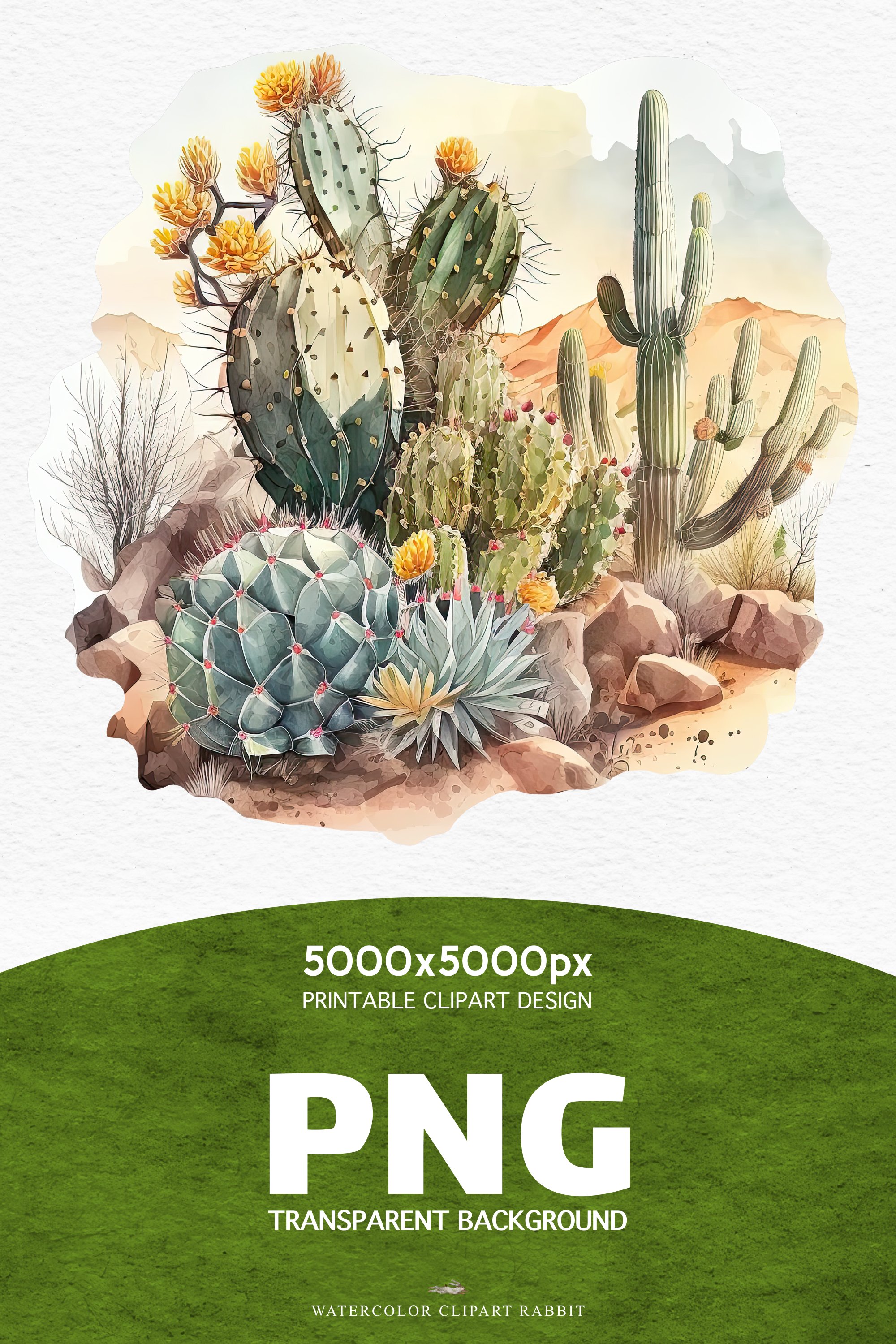 Desert Cactus Succulent Flowers Floral Clipart PNG Scrapbook