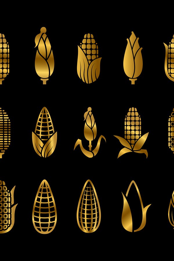 Fresh golden corn harvest vector icons set