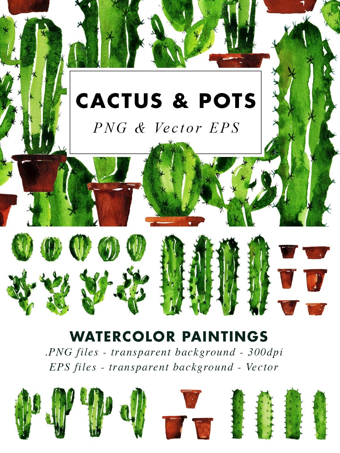Watercolor Cactus Clip Art Set (571823)