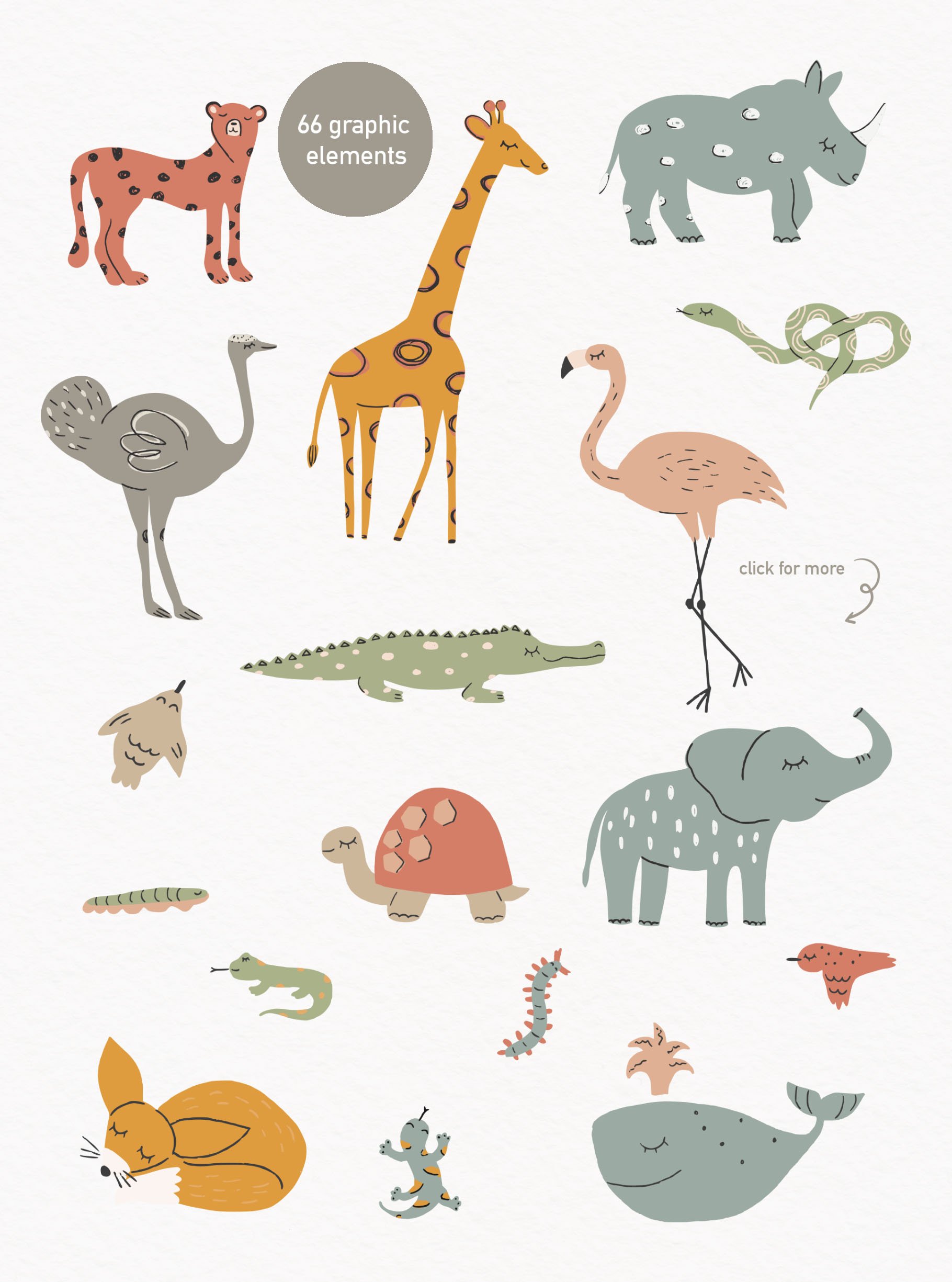 Wild Jungle, graphic elements and seamless patterns
