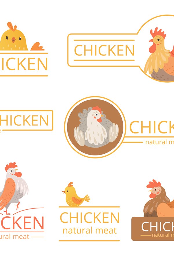 Pollo logo. Chicken illustrations for farm identity organic
