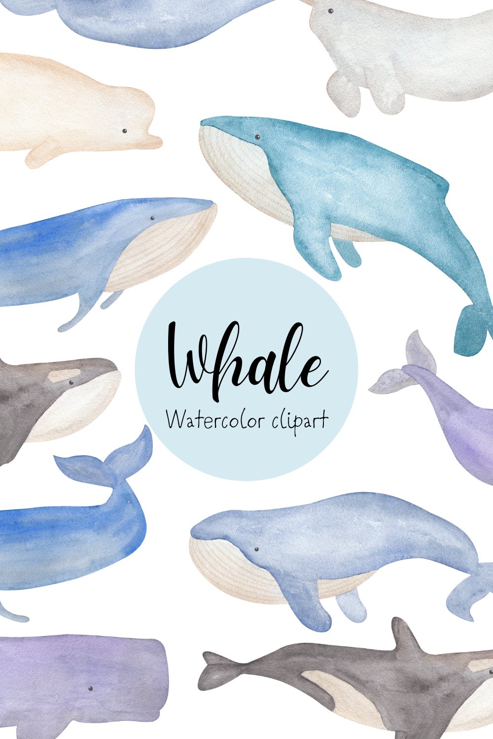 Watercolor whale animal clipart