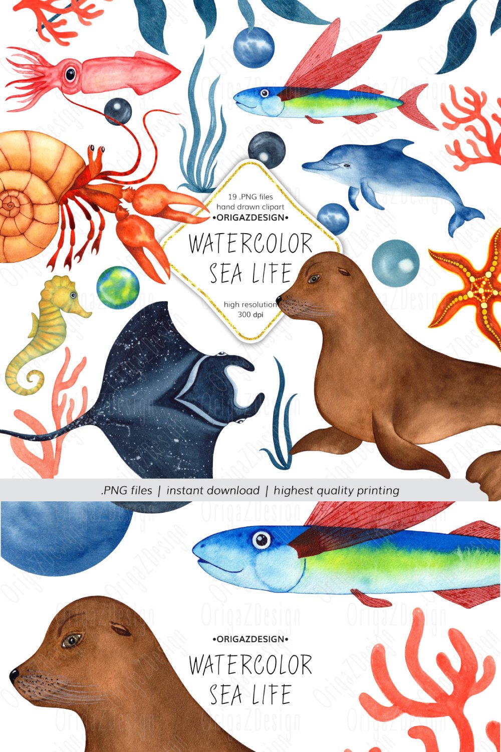 Watercolor nautical Animals Sea Life Clipart Fish Sea Horse