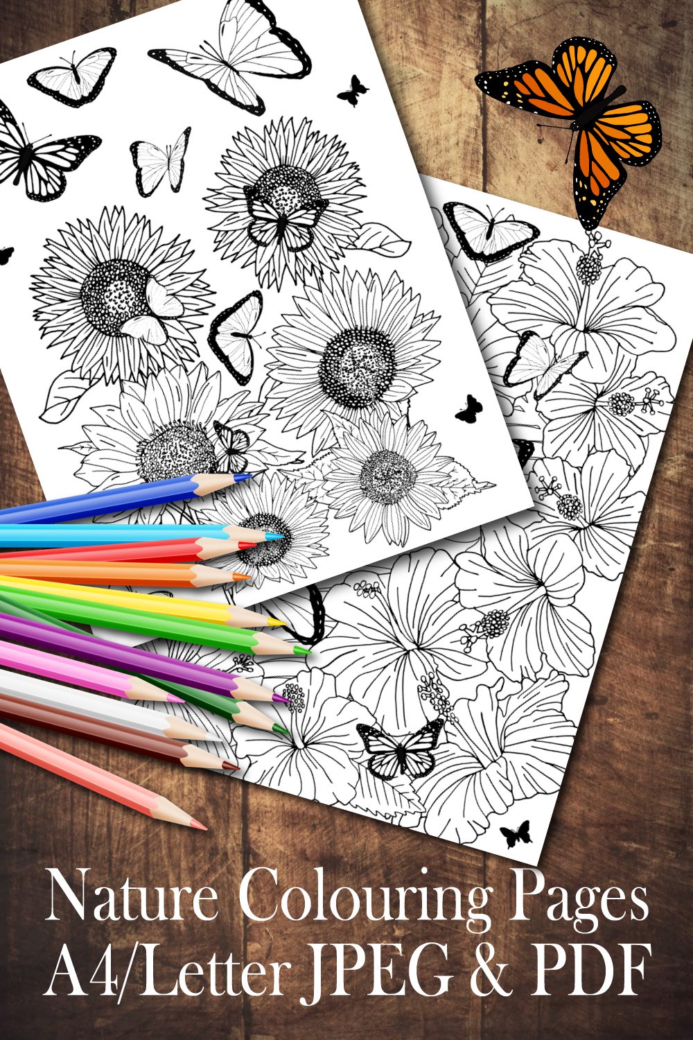 Butterflies Sunflowers and Flowers Nature Colouring Pages