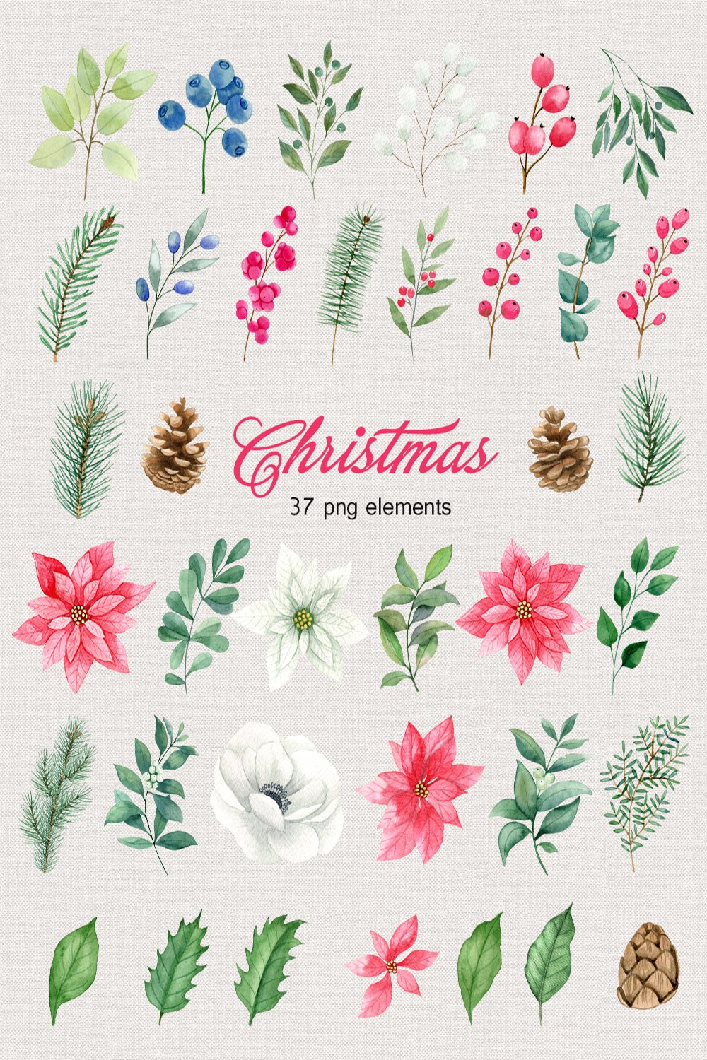 Watercolor Christmas Clipart Christmas Flowers (1664252)