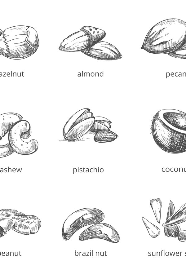 Vector nuts set in hand drawn style