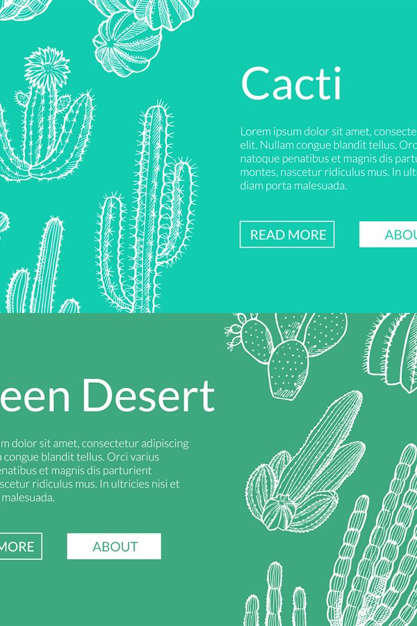 Vector hand drawn wild cacti plants web banner templates ill