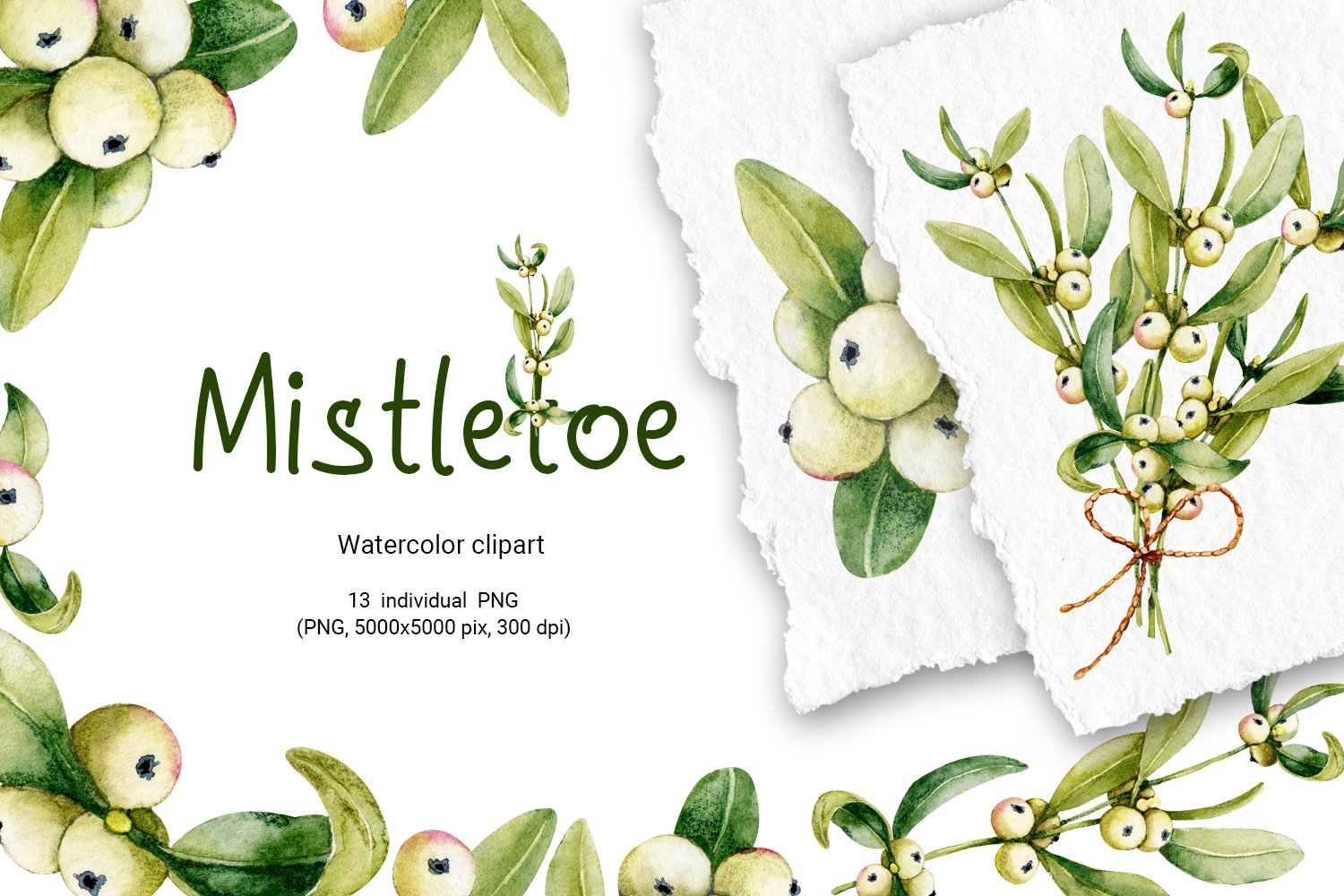White mistletoe, snow berry, watercolor clipart (960490)
