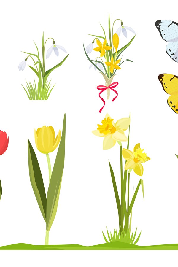 Spring flowers. Floral garden collection bouquet of cartoon