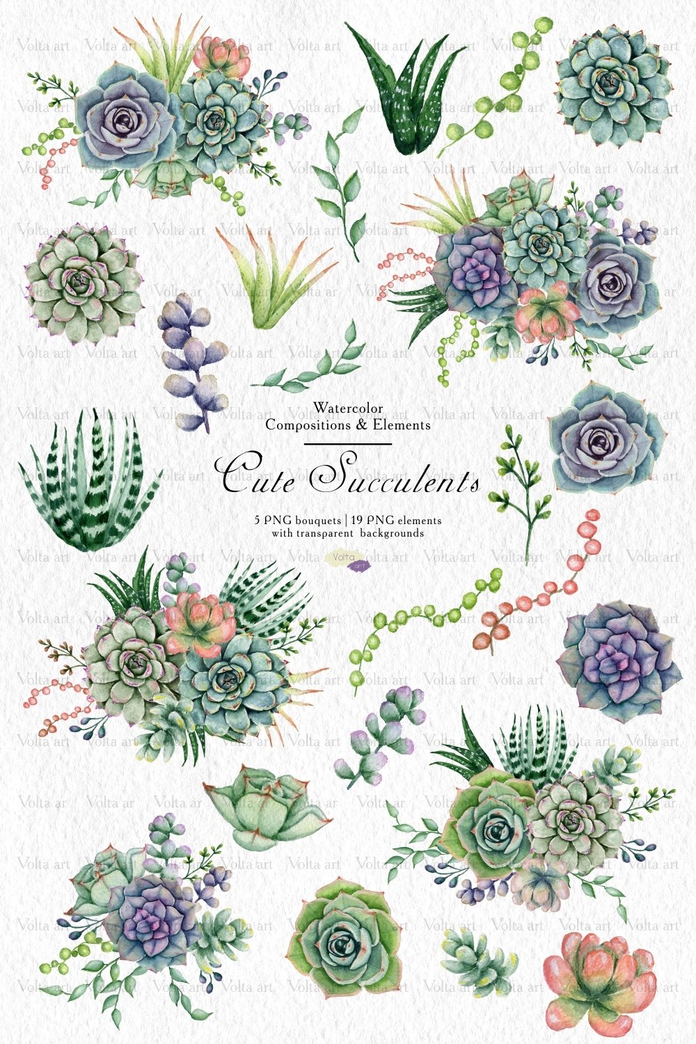 Watercolor succulents bouquets, Pastel cacti elements PNG