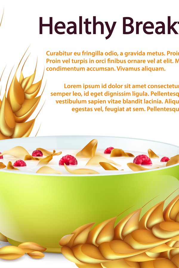 Healthy breakfast banner or background vector