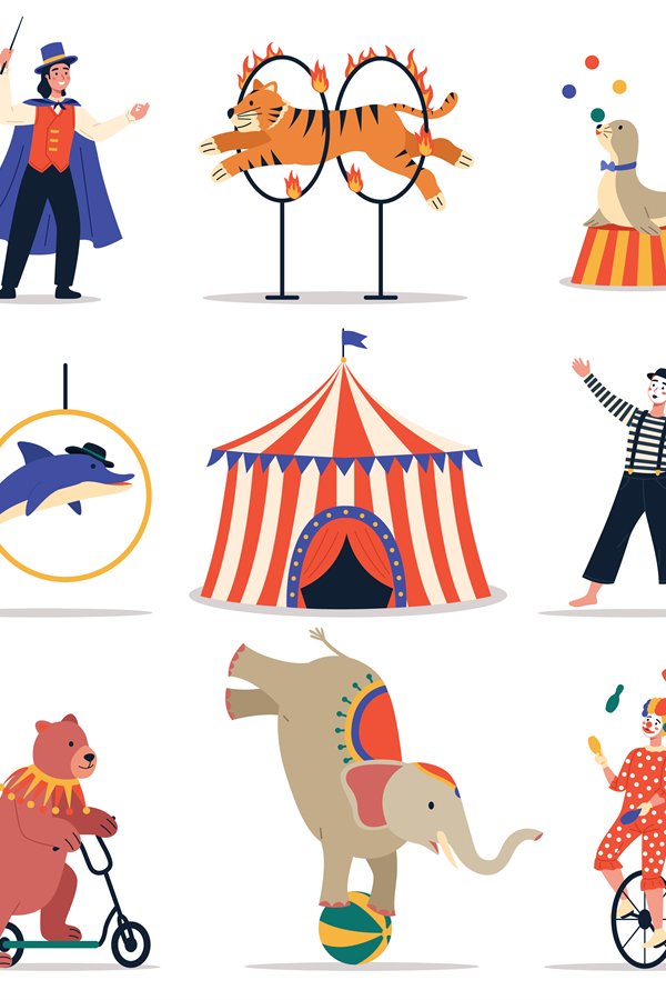 Circus animals. Funny trained animals. Show elements hoops,
