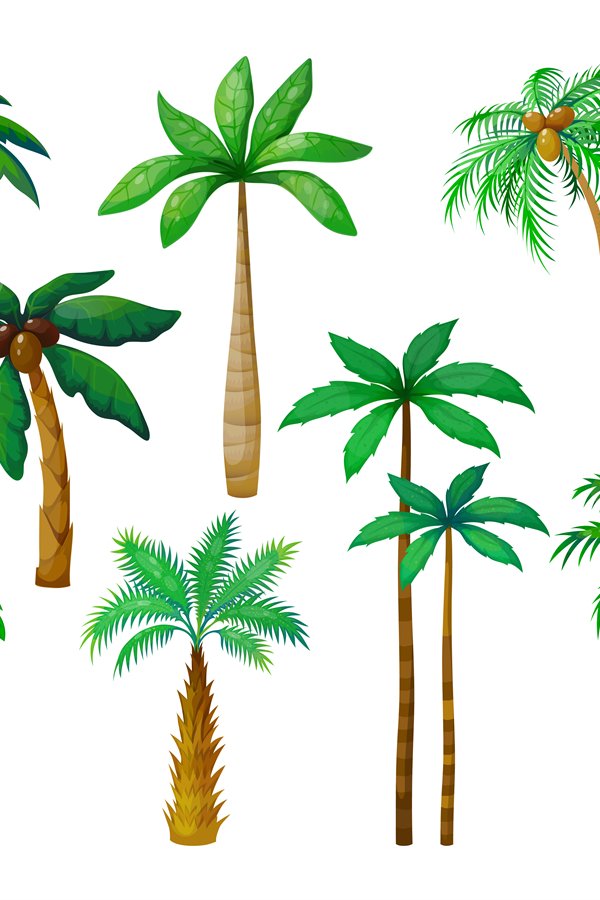 Cartoon palm tree. Jungle palm trees with green (1140672)