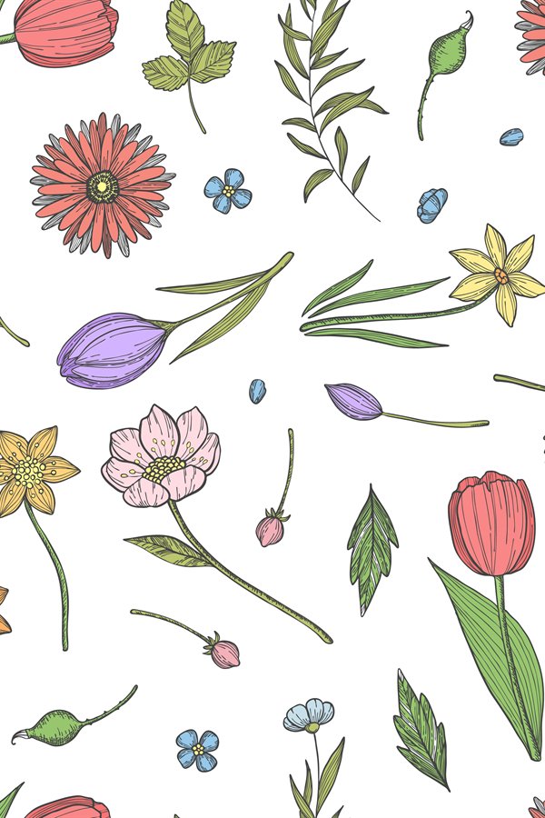 Vector hand drawn flowers pattern or background (872429)