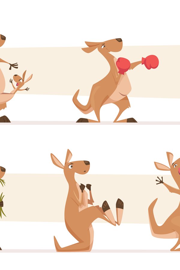 Kangaroo characters. Wildlife australian animals standing an