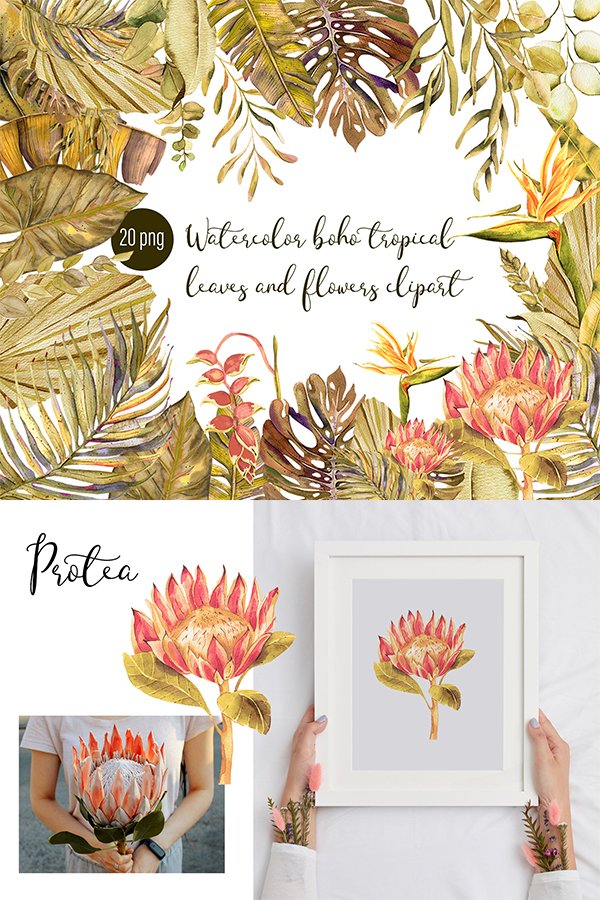 Watercolor tropical boho floral clipart. Flowers and leaves