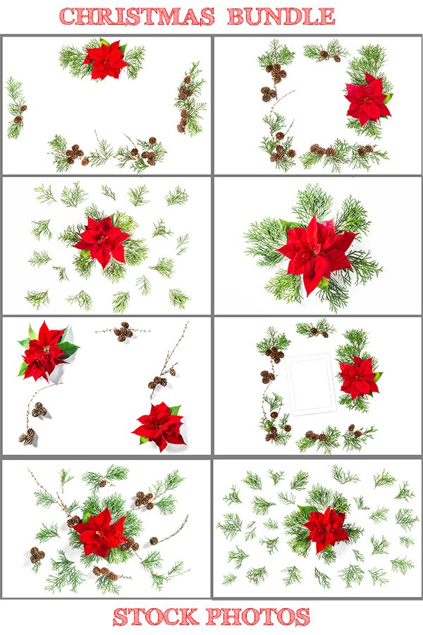 Christmas bundle Floral Christmas flat lay frame 9 JPG