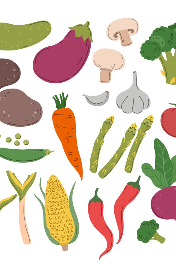 Fresh color vegetables set. Vegetarian farm, broccoli green